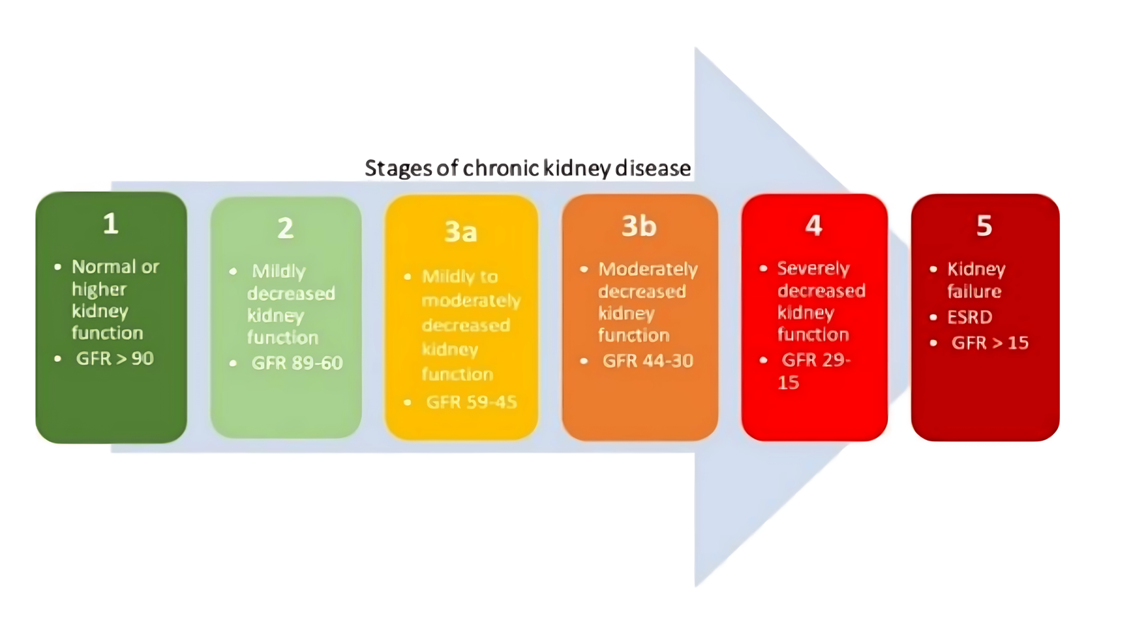 Stages of Chronic Kidney Disease